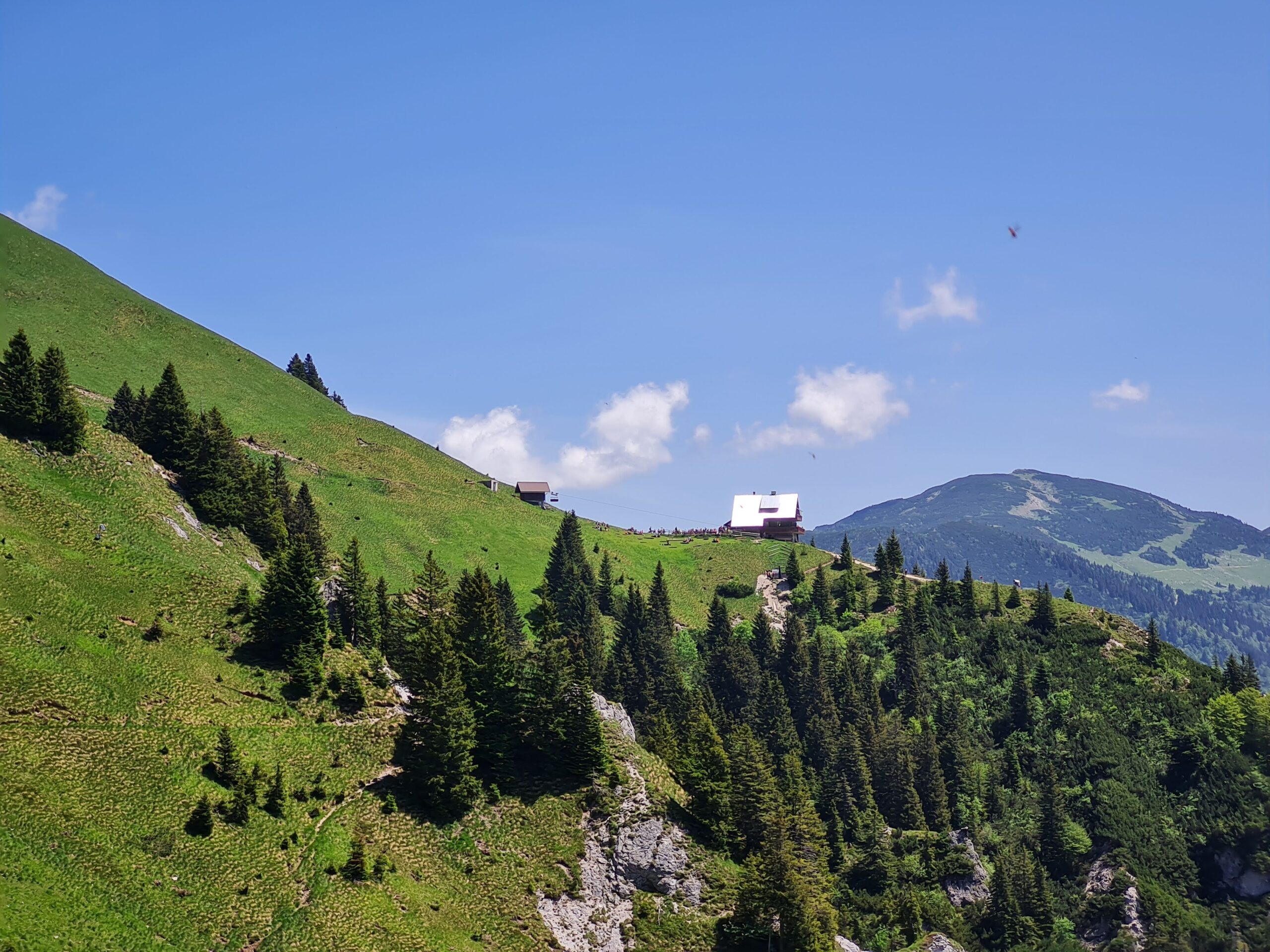 Tradicionalne aktivnosti Društva Krma v letu 2022 - Društvo za ...